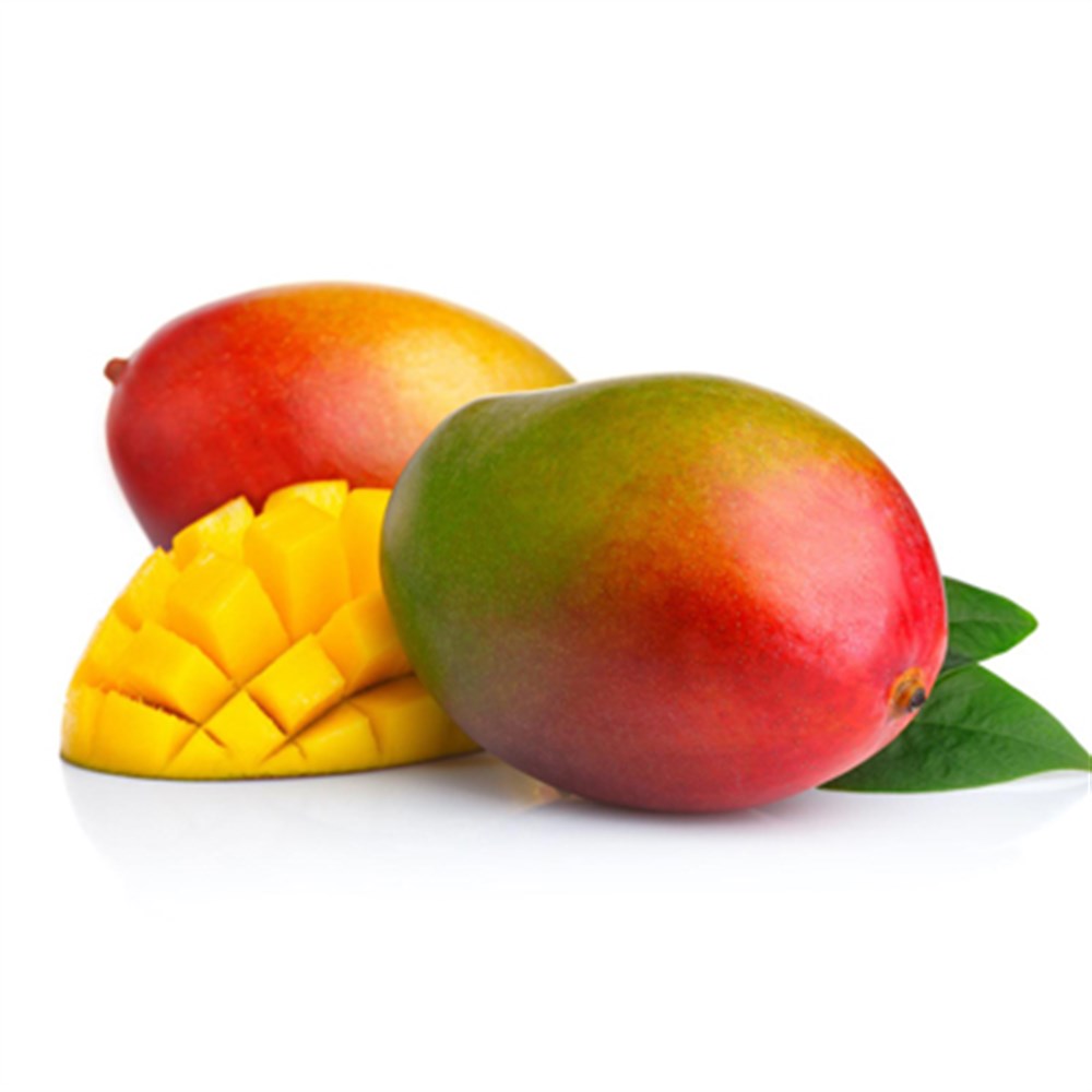 Mango - Awe Tarım Sanayi ve Ticaret A. Ş.